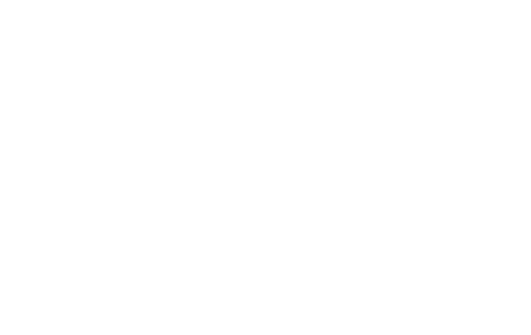 SparkLife P2P